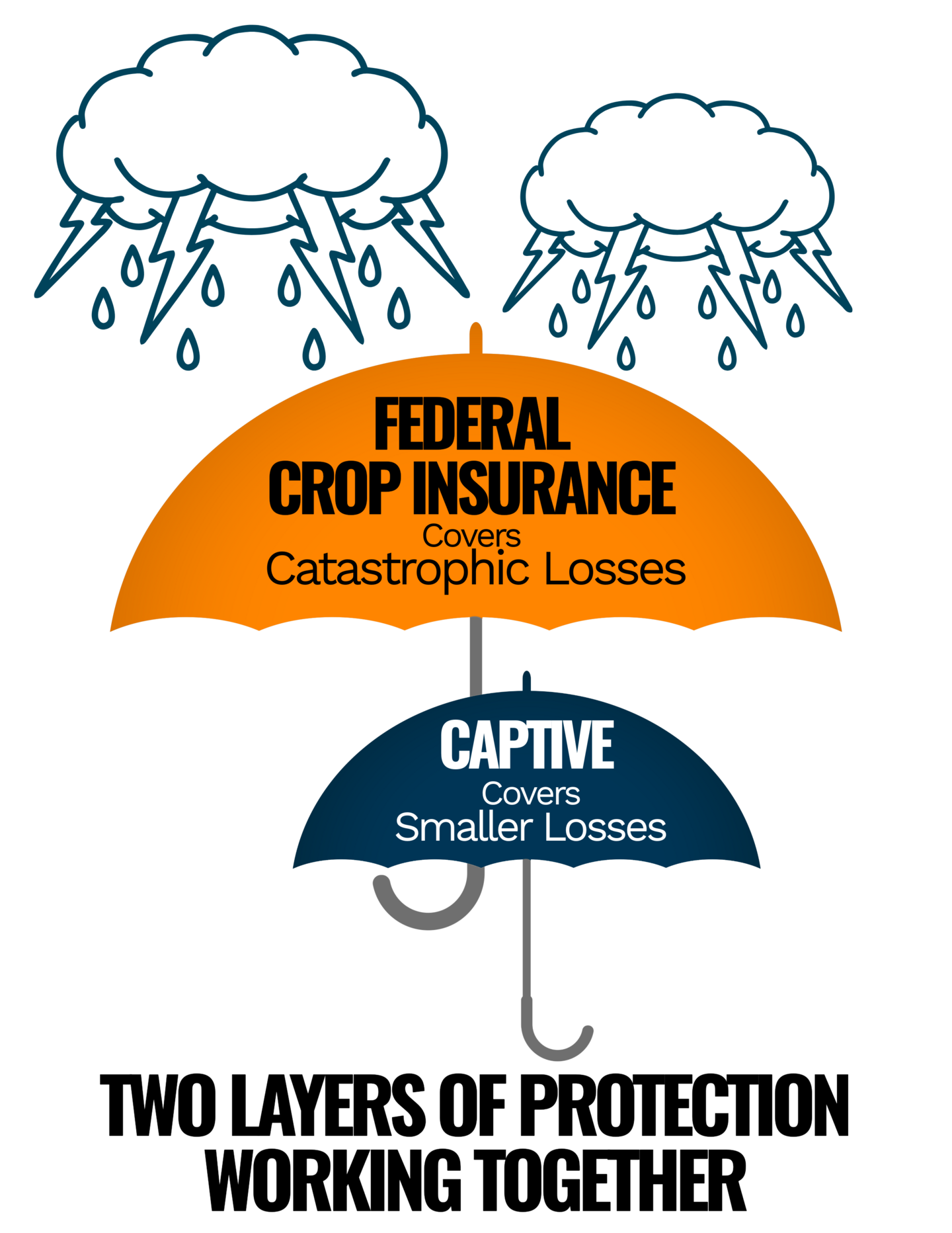 Captive Insurance for Agriculture Workshop | Department of Agricultural ...